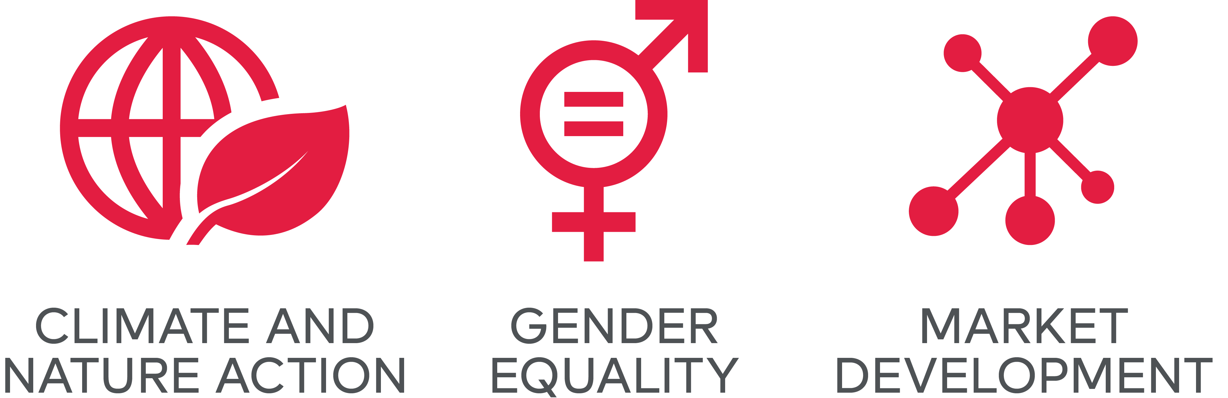 Development impact | Development Finance Institute Canada