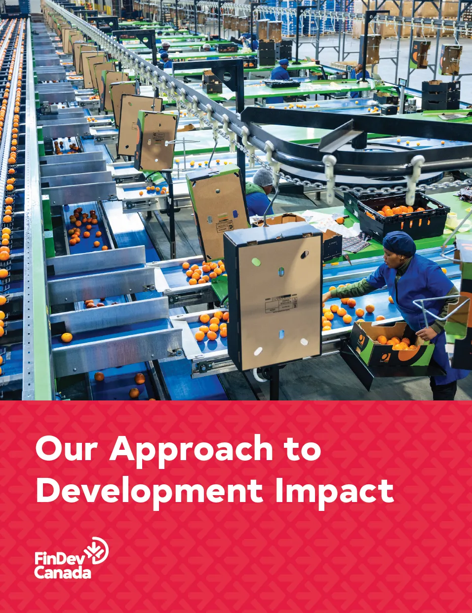 Our Approach to Development Impact | Development Finance Institute Canada