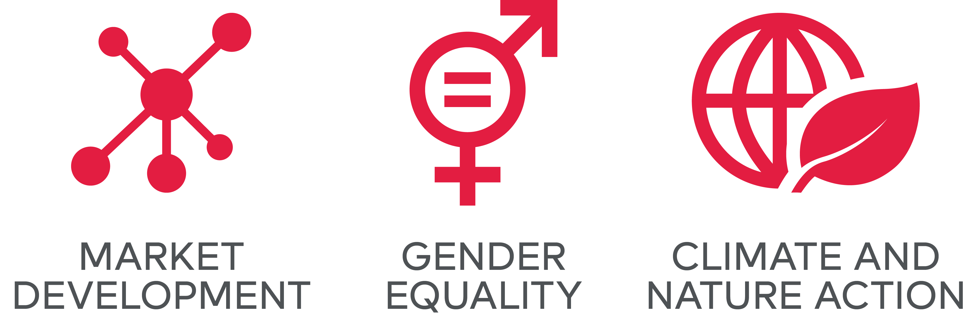 Development impact | Development Finance Institute Canada